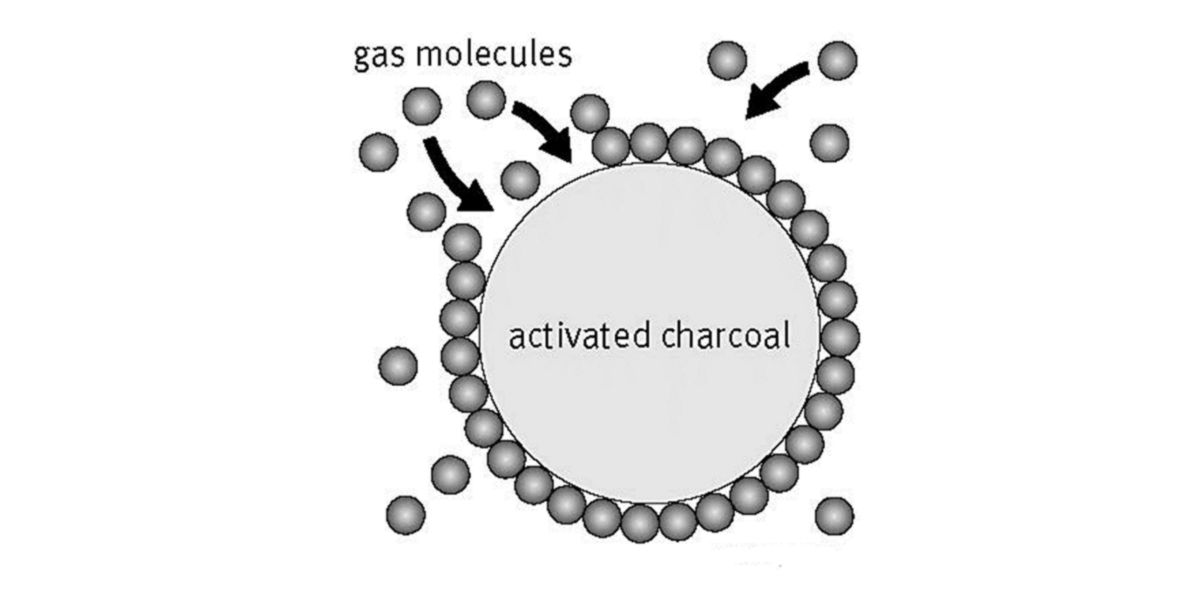 Activated Charcoal: What do you know about it? 【HSN Blog】