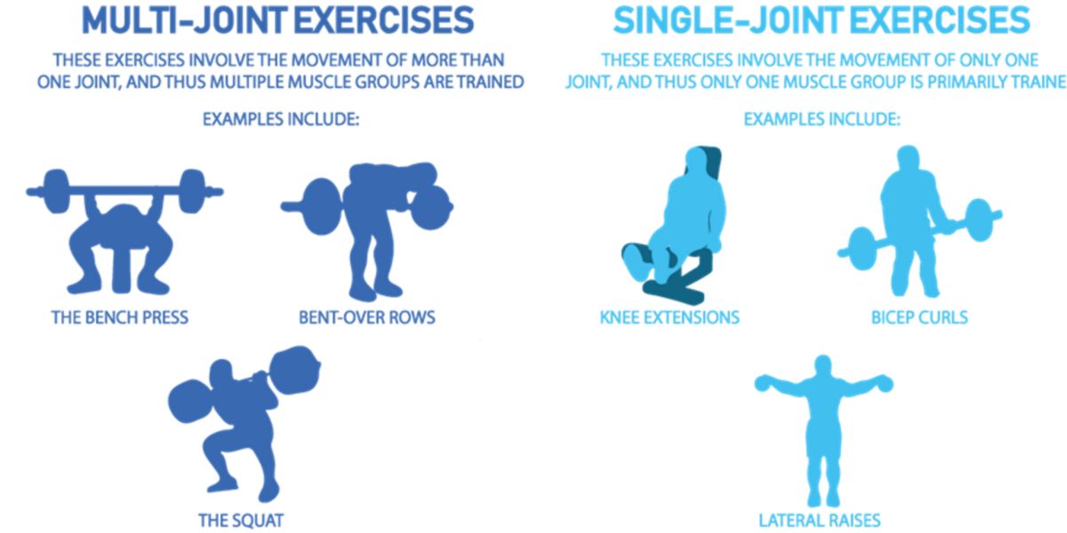 Keys to Gaining Weight through Exercise【HSN Blog】