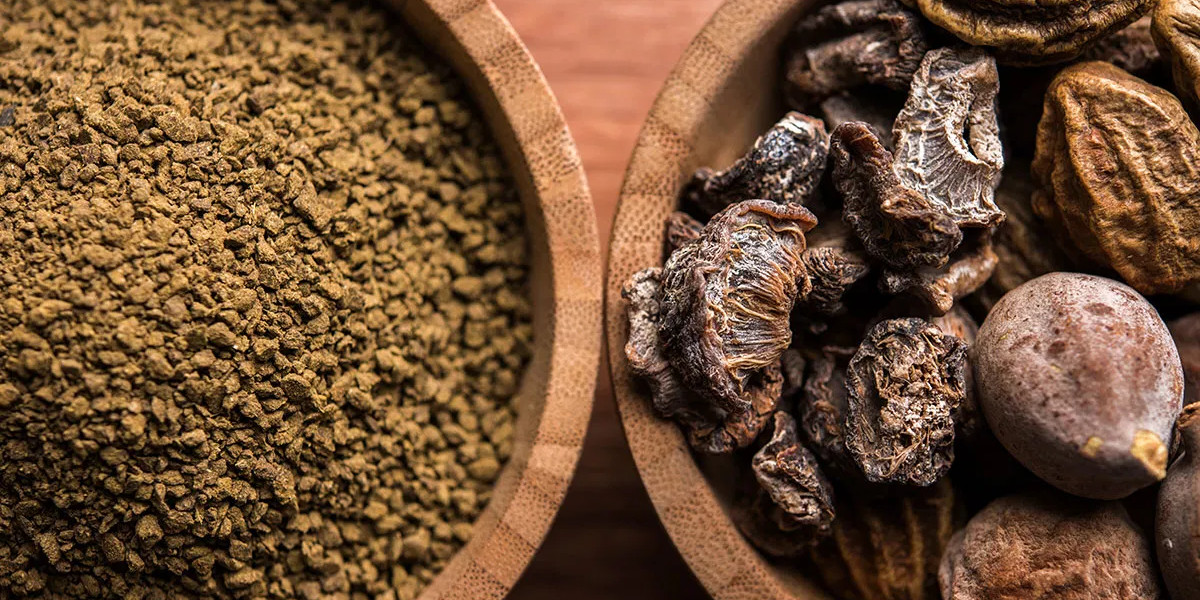 Triphala - Get to know this herb in depth【HSN Blog】