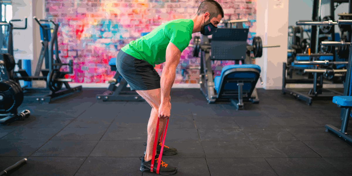 Elastic Bands: We propose this Exercise Plan!