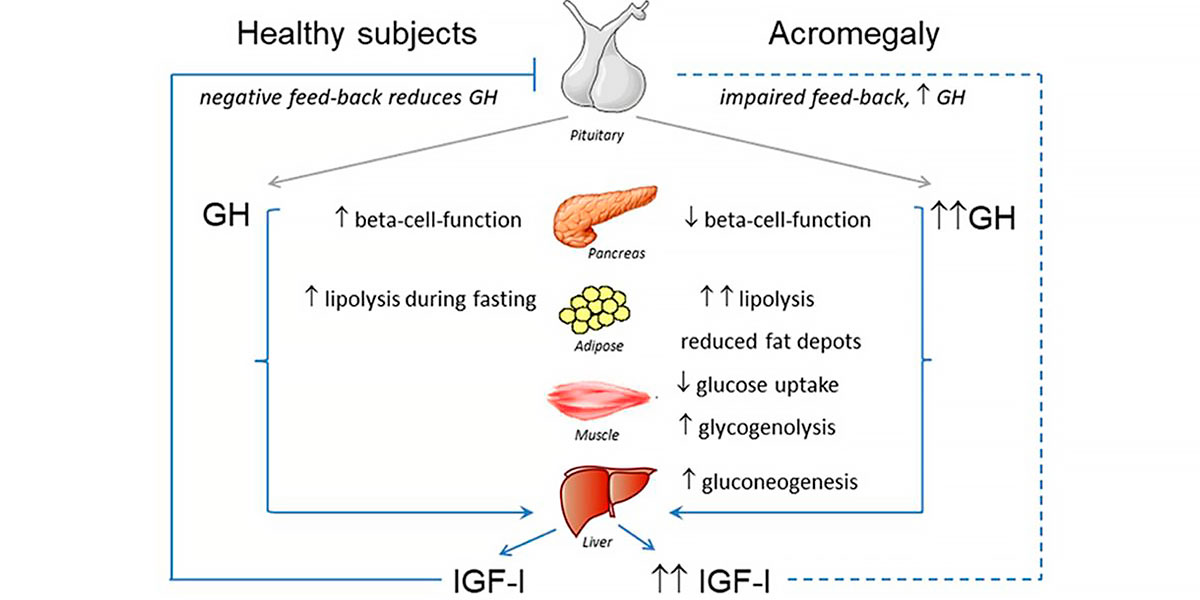 Best Time of Day to Train – When and Why?【HSN Blog】
