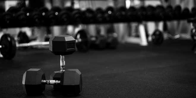 How to Create a Gym Training Programme - The Basics