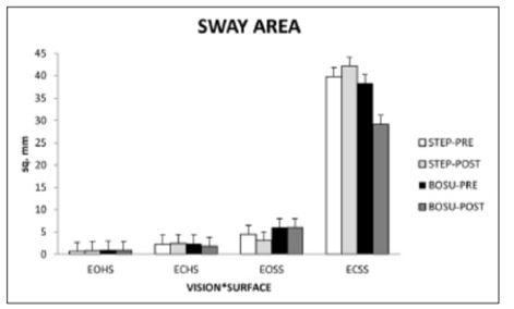 Unstable Surface Training 【HSN Blog】