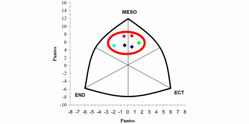 Body Types: Ectomorphs, Mesomorphs or Endomorphs? HSN Blog