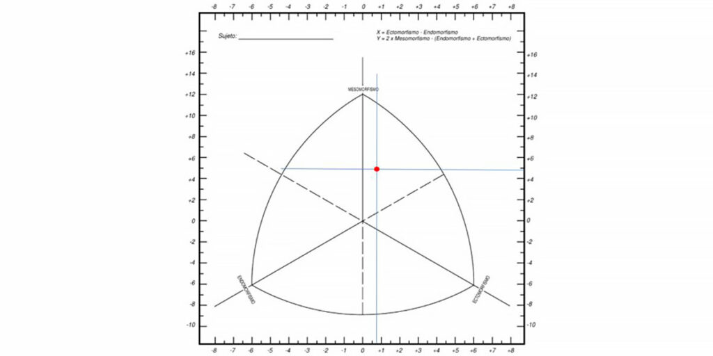 Body Types: Ectomorphs, Mesomorphs or Endomorphs? HSN Blog