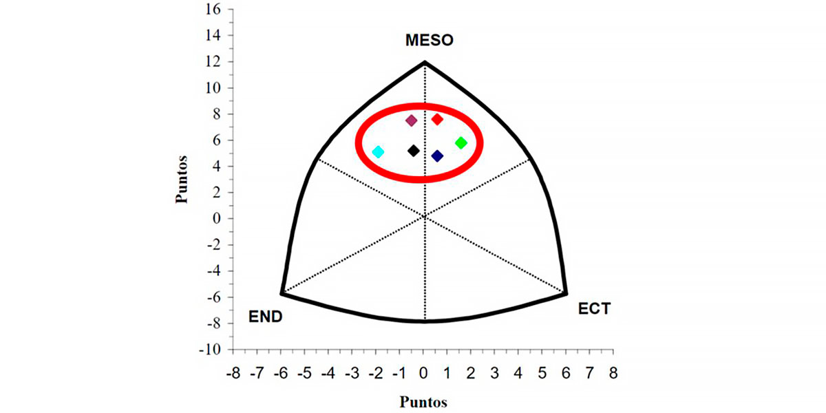 Body Types: Ectomorphs, Mesomorphs or Endomorphs? HSN Blog