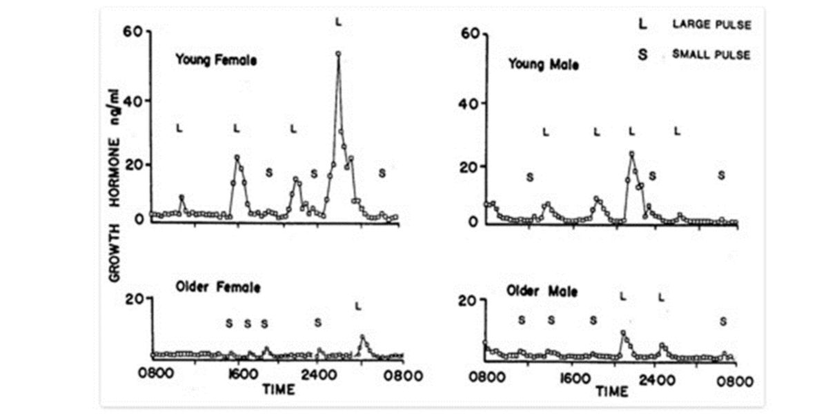 Glycine and Growth Hormone Enhancement 【HSN Blog】