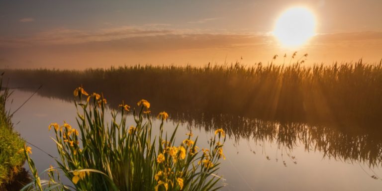 Solar Exposure - Know the Benefits 【HSN Blog】