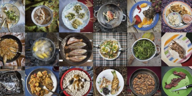 Life Expectancy Factors: Healthy Habits from Now On - HSN