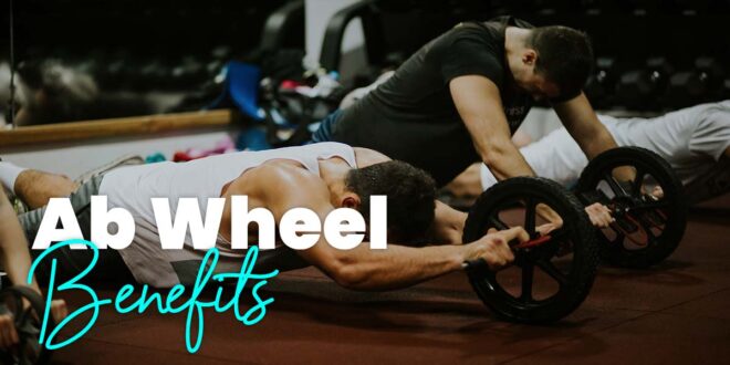 Abdominal Wheel: Everything you need to know