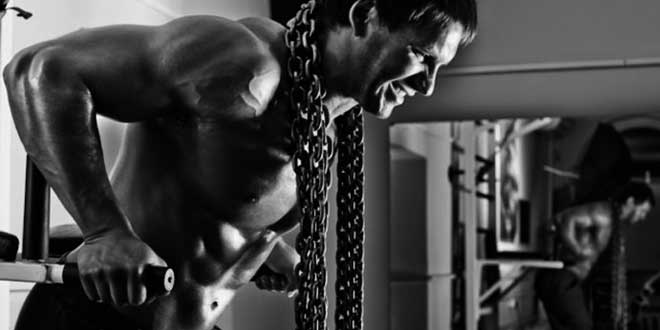 20 Tips to Build Strength and muscle - Blog HSN