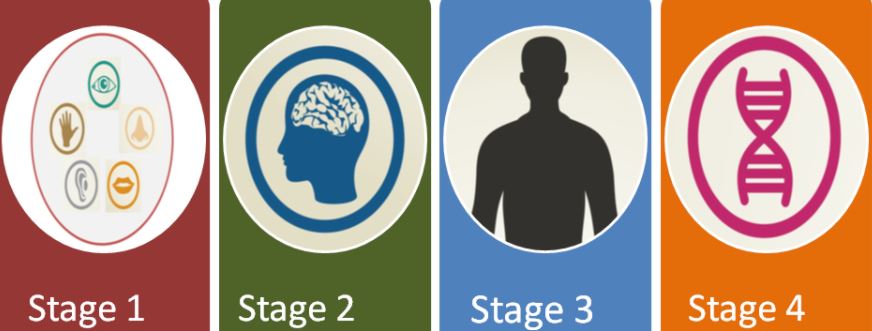 Stress - What it is, types and causes of stress