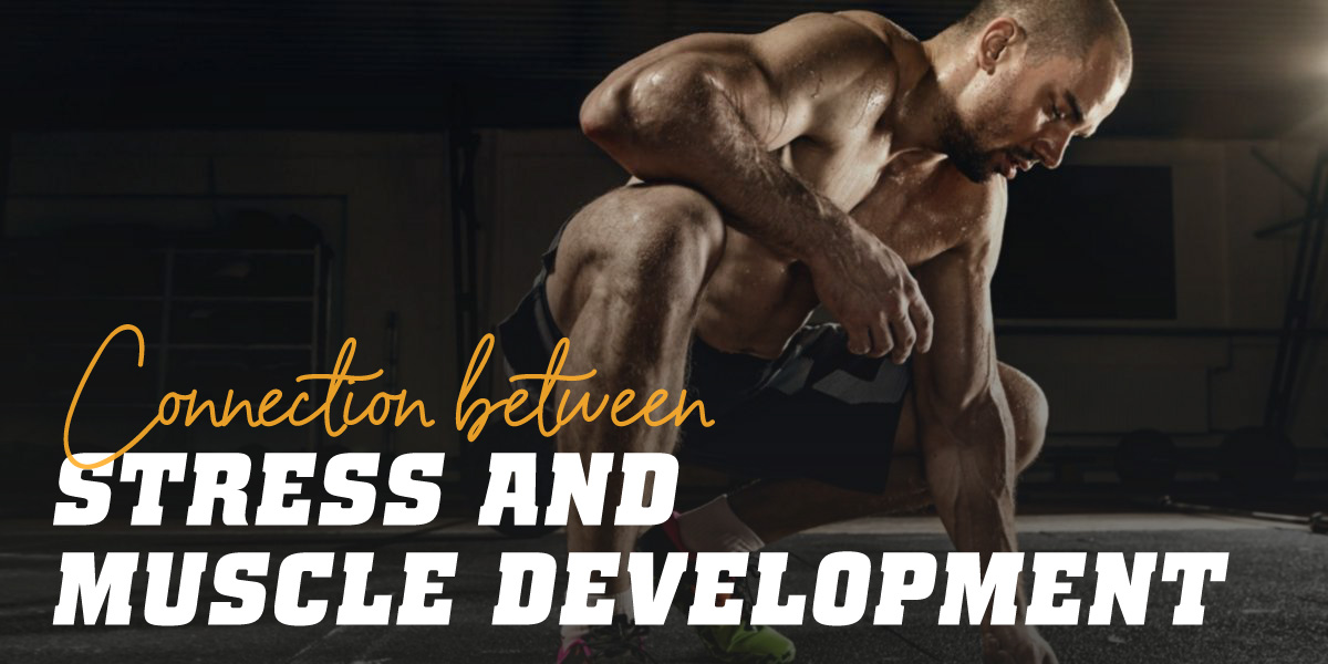 Stress and Muscle Development, What is the Relationship? - HSN