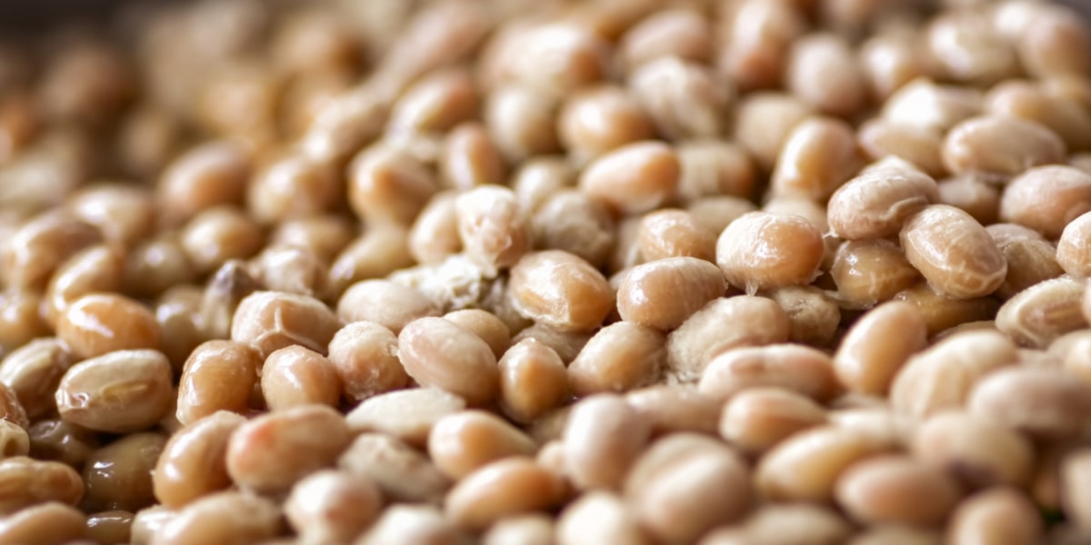 Nattokinase: Benefits and Properties for your Health