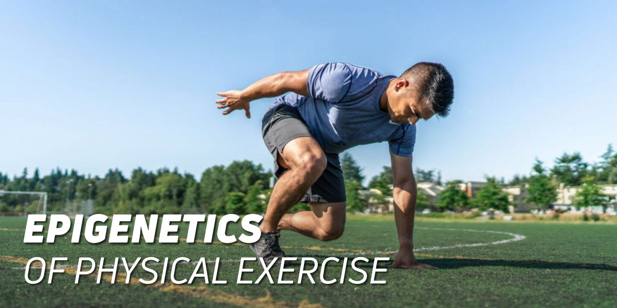 Epigenetics and Exercise - What is the relationship? - HSN Blog