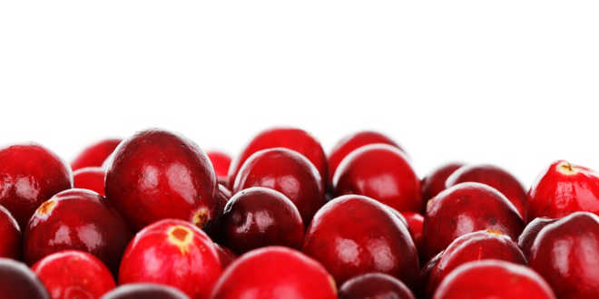 Cystitis: Keys to Preventing a Common Infection - HSN Blog