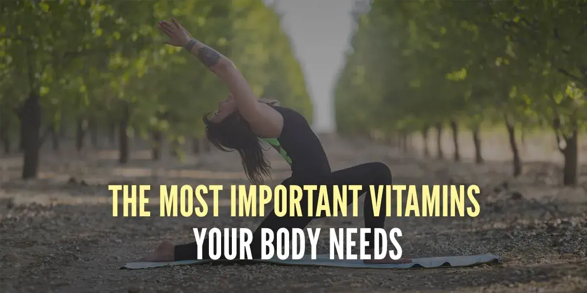 Which vitamins are the most important for the body?