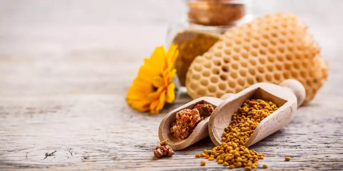 Propolis or Propolis | Benefits, Properties and How to Take It